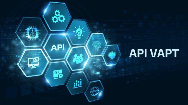 Web Application VAPT - Neumetric