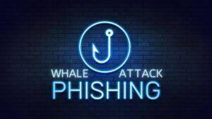 Have you heard of the Whale Phishing Attack?