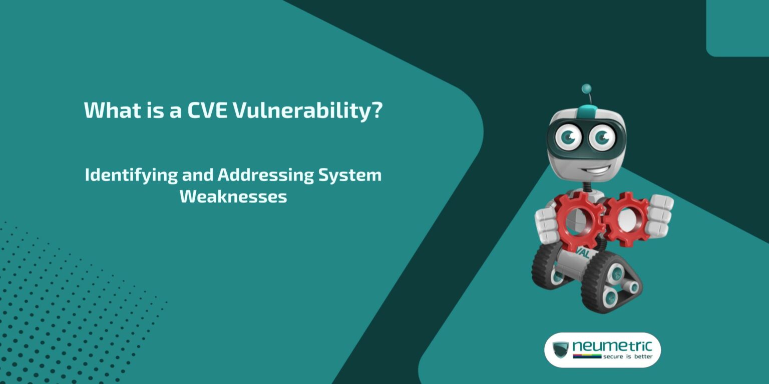 What is a CVE Vulnerability? Identifying and Addressing System Weaknesses
