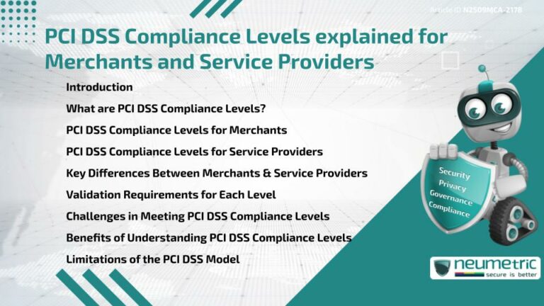 PCI DSS Compliance Levels explained for Merchants and Service Providers